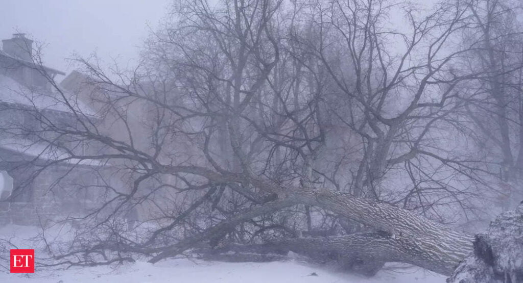 18 die as monster storm brings rain, snow, cold across US - CodeWithCode – Free Tools & Smart ...